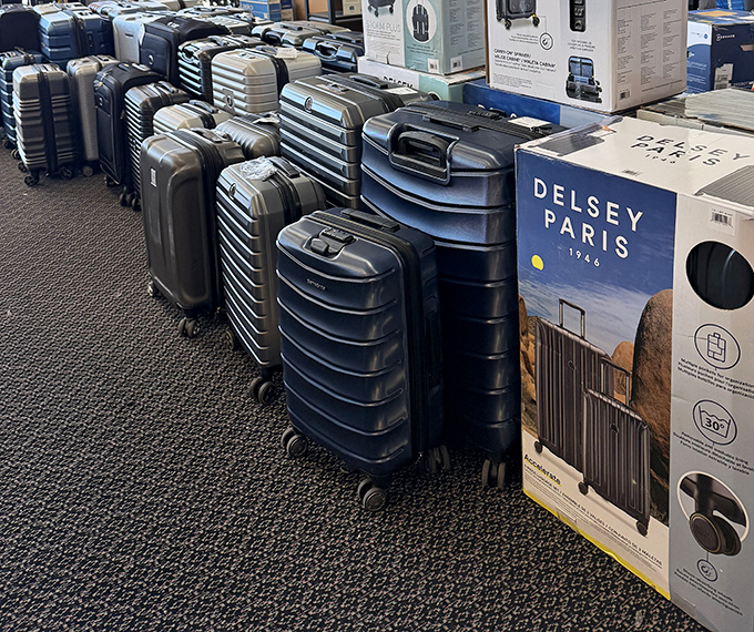 Delsey Paris luggage lined up like soldiers ready for duty – your next vacation just got more affordable.