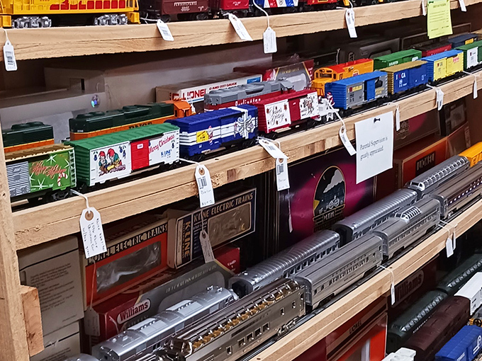 Miniature locomotives that transport grown men back to childhood faster than a DeLorean hitting 88 mph. No batteries required—imagination powers these memories.