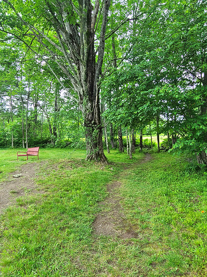 Sometimes the best attractions aren't attractions at all&mdash;just a simple bench beneath ancient maples where time seems wonderfully negotiable.