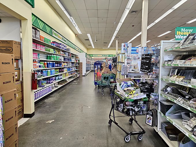 Clean aisles and organized shelves create a shopping experience that's less "rummage sale" and more "budget boutique"&mdash;a rarity in the discount universe.