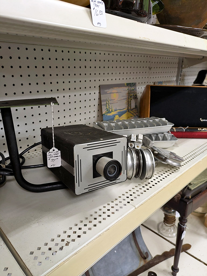 This vintage projector has shown more family vacations than National Geographic. Someone's memories, now available for purchase.