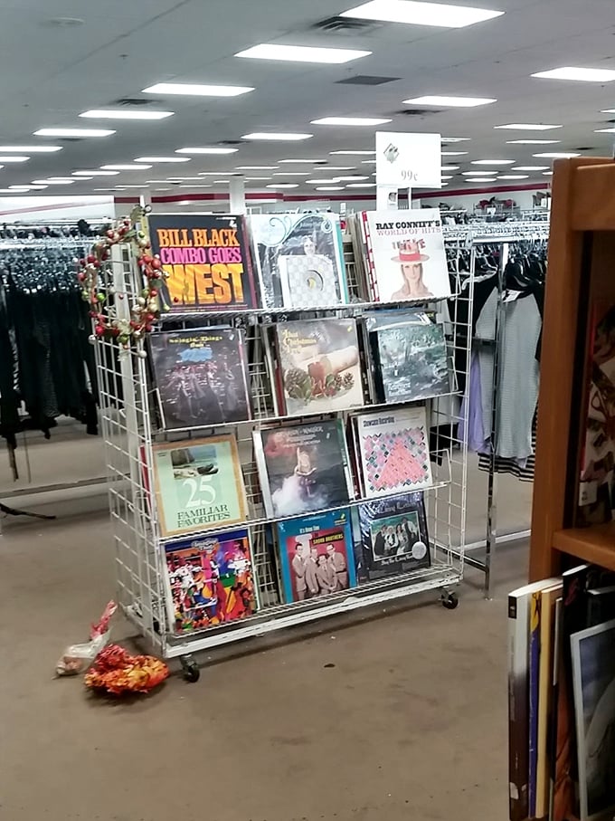 Vinyl records that transport you back in time faster than any DeLorean. Each album a portal to someone else's memories.