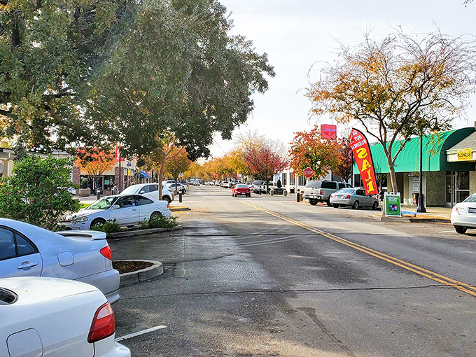 Autumn colors transform Shafter's downtown into a picturesque scene where affordable living meets seasonal beauty.