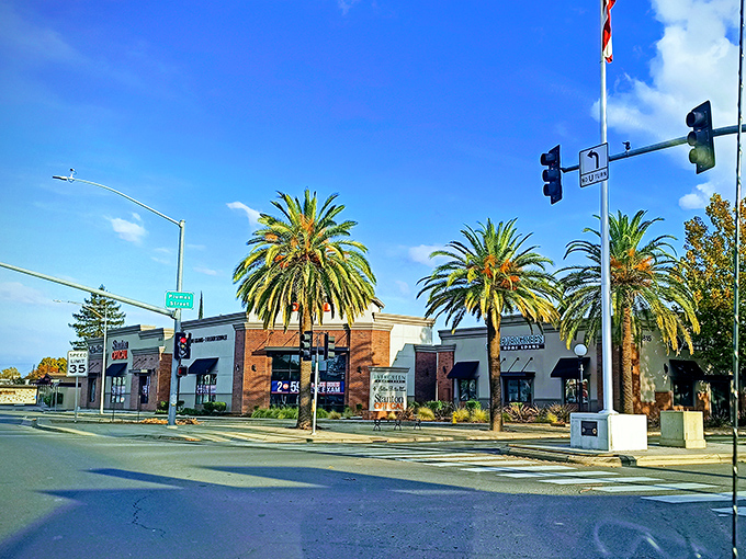 Palm trees line Yuba City's shopping district, where California style meets Central Valley affordability for budget-conscious retirees.