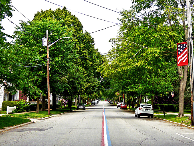 Tree-canopied streets in Bristol create natural tunnels of green that make every drive feel like a scenic journey.