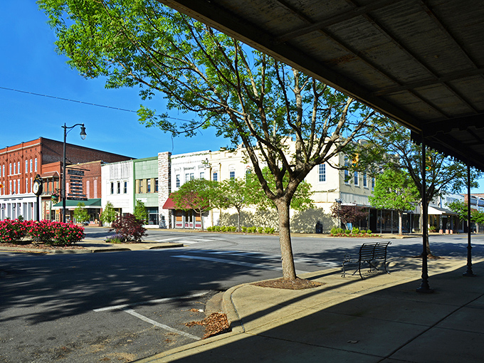 Stroll through shaded streets in Demopolis, Alabama, where friendly sidewalks and cozy benches invite you to stay a little while.
