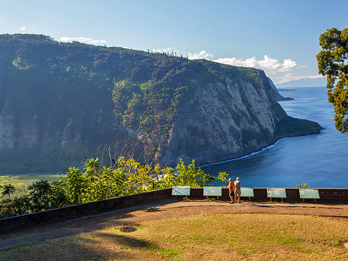 Breathtaking cliffs of Waipio Valley near Honokaʻa, where visitors stand in awe of Hawaii's dramatic coastline.