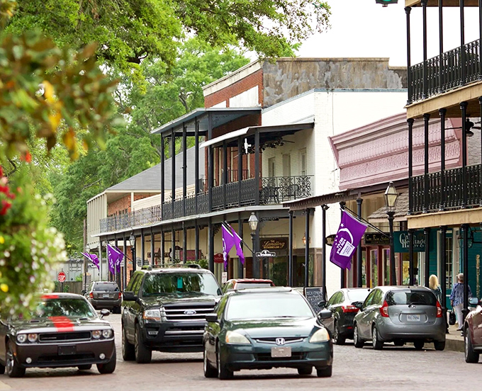 Purple flags and vintage lampposts line Natchitoches' picturesque downtown. This movie-set perfection comes with surprisingly affordable housing options.