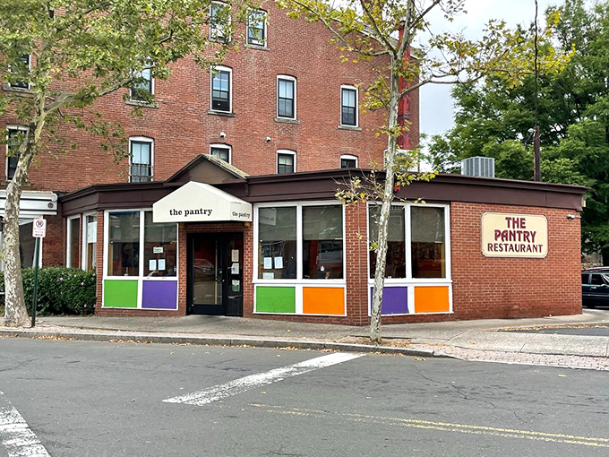 The Pantry's corner location bathes breakfast in natural light. Those colorful panels aren't just decorative &ndash; they're a mood-lifting appetizer.