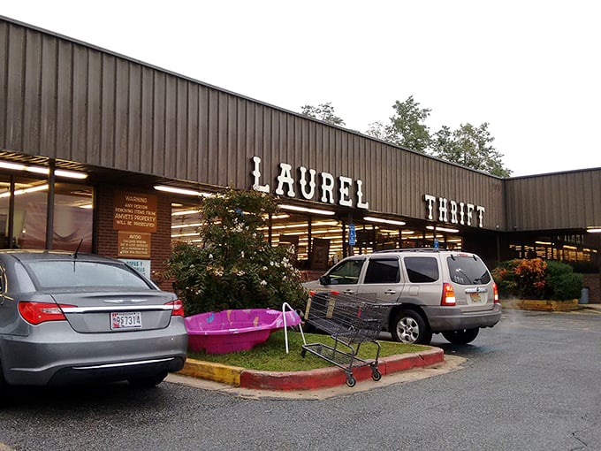 The shopping carts stand ready for filling with treasures that previous owners mysteriously decided they could live without.