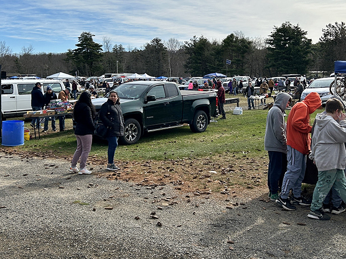 Early birds catch the best finds at Rietta, where morning light reveals hidden gems.