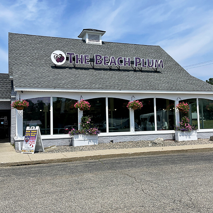 Sunshine makes The Beach Plum's purple sign pop against gray shingles &ndash; a cheerful invitation to seafood satisfaction.