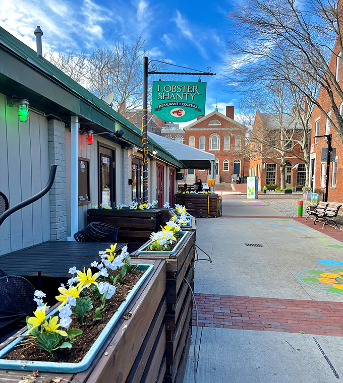 A splash of green marks the spot! The Lobster Shanty's sign guides hungry pilgrims through historic Salem streets.