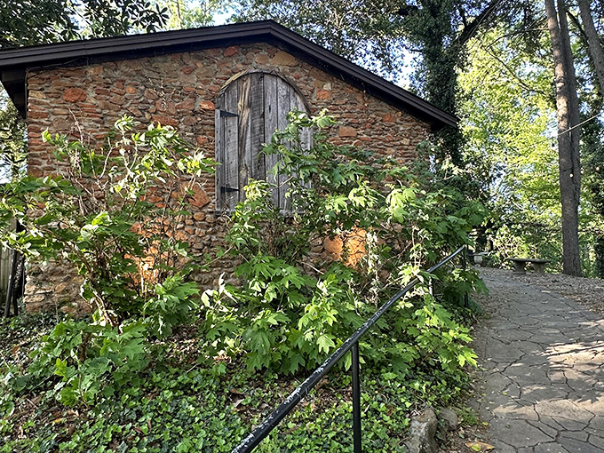 Nature embraces The Peddler's historic stone walls, creating a secret hideaway where carnivores find their bliss.