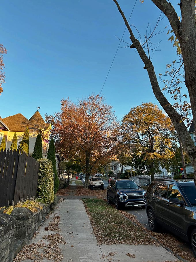 Fall in Carbondale paints the streets with nature's confetti, creating postcard-worthy scenes that cost nothing to enjoy.