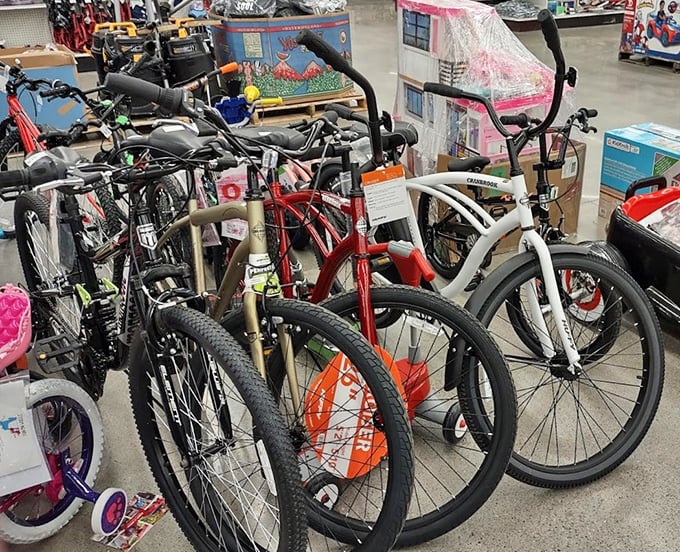 Pedal your way to savings in the bicycle bonanza. From beach cruisers to mountain bikes, your next two-wheeled adventure starts here.