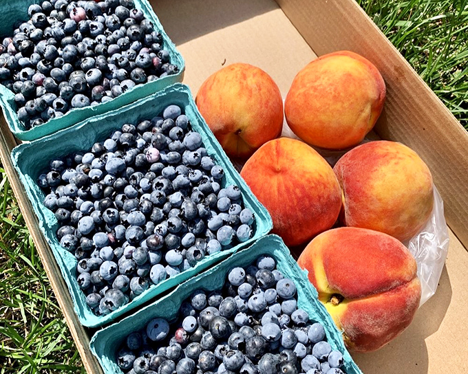 Summer's perfect pairing: plump blueberries alongside blushing peaches. This box contains everything you need for the world's most delicious breakfast.