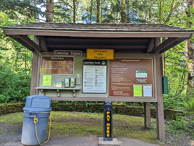 The least painful bill you'll ever pay&mdash;your ticket to starry nights, forest symphonies, and memories that outlast the mosquito bites.