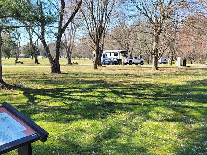 RV camping with winter's bare branches overhead&mdash;proof that off-season adventures often reveal a park's character better than summer's crowded chorus.