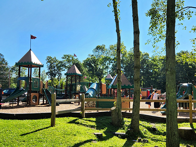 Castle Park's whimsical towers and slides create a kingdom of childhood joy, nestled among trees that have witnessed generations of imaginative play.