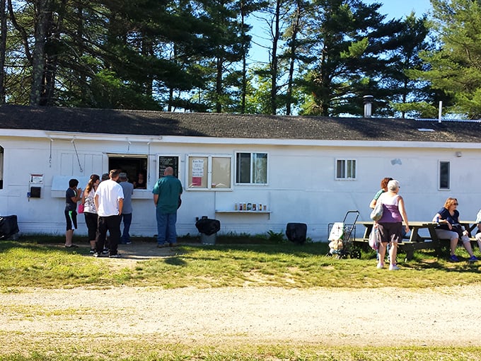 The market's humble food stand serves as both refueling station and social hub for bargain-hunting veterans.
