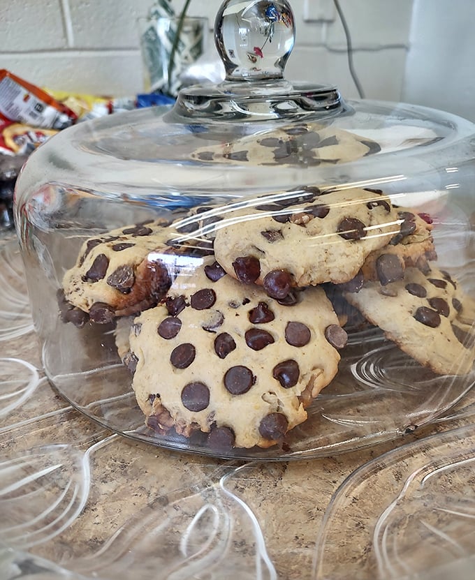 Those chocolate chip cookies under glass aren't just dessert—they're the sweet finale to a meal that already feels like a celebration.