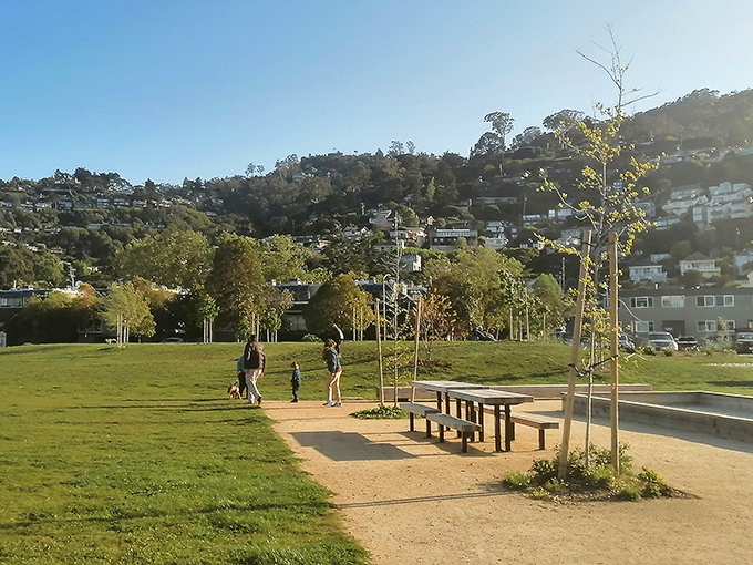Dunphy Park provides a grassy respite where you can picnic with panoramic views that make ordinary sandwiches taste extraordinary.