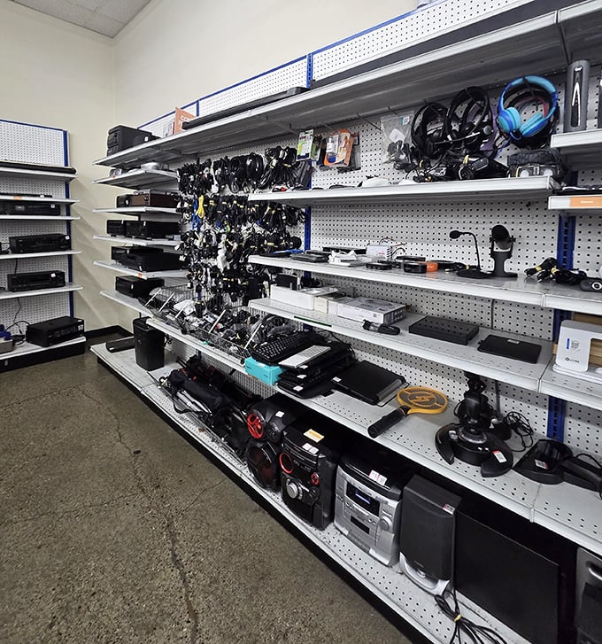 The electronics section: technological time travel where yesterday's gadgets get second chances and tinkerers find affordable project materials.