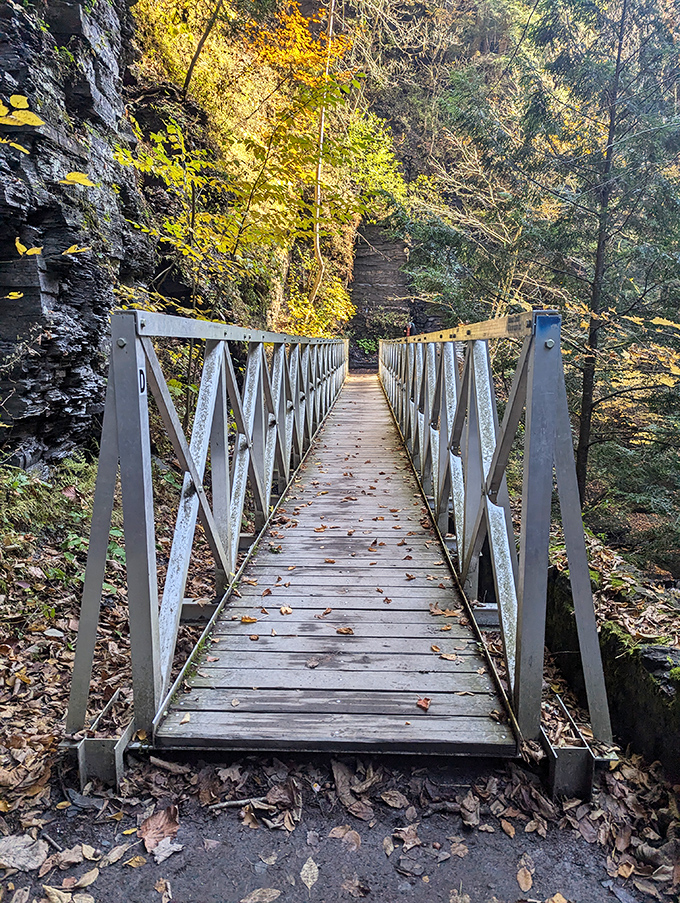 This footbridge invites you to cross into autumn's embrace, where the only decision is which colorful view to photograph first.