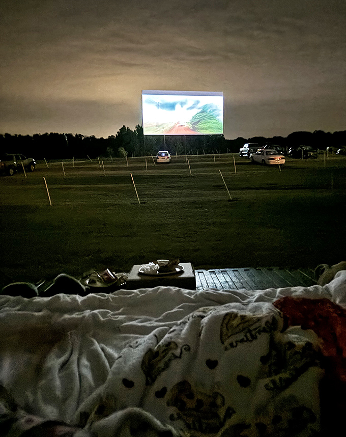 The ultimate viewing lounge: blankets, snacks, and a tailgate seat. Some people call it a truck bed; drive-in veterans call it premium seating.