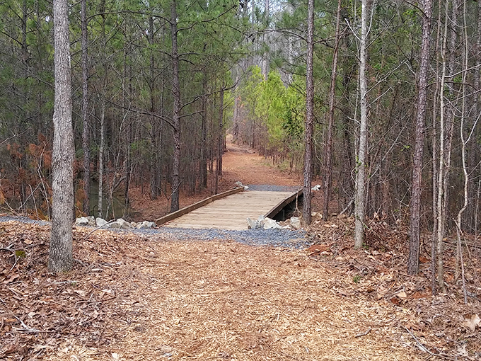 Nature trails that let you disconnect from the digital chaos without feeling like you're actually roughing it outdoors.