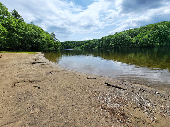 Nature doesn't charge admission at Haviland's Cove, where the water reflects the sky in a show that outperforms anything on your streaming services.