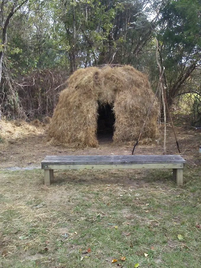 The Ingomar Mounds' hay structure stands as a humble reminder of indigenous ingenuity. Sit on this bench and feel centuries of history beneath your feet.