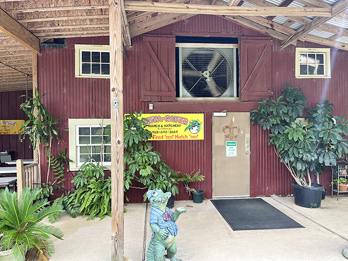 Insta-Gator Ranch welcomes visitors with the kind of Southern hospitality that makes even reptiles seem like charming hosts.