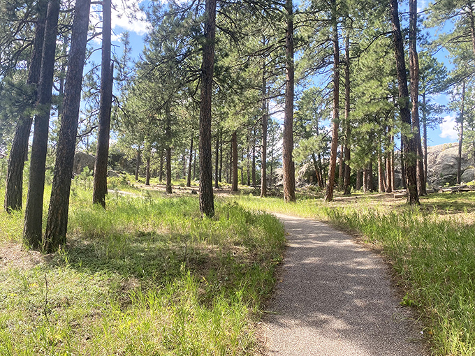 Pine-scented trails wind through the Black Hills, offering peaceful escapes just minutes from downtown – nature's perfect antidote to presidential selfie fatigue.
