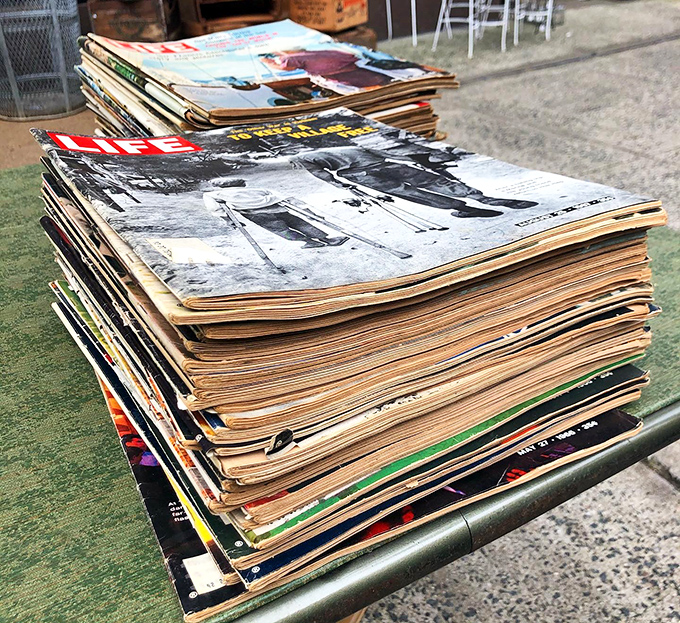 Yellowed LIFE magazines stack up like layers of American history, each cover a window into what captivated us when "viral" meant something entirely different.