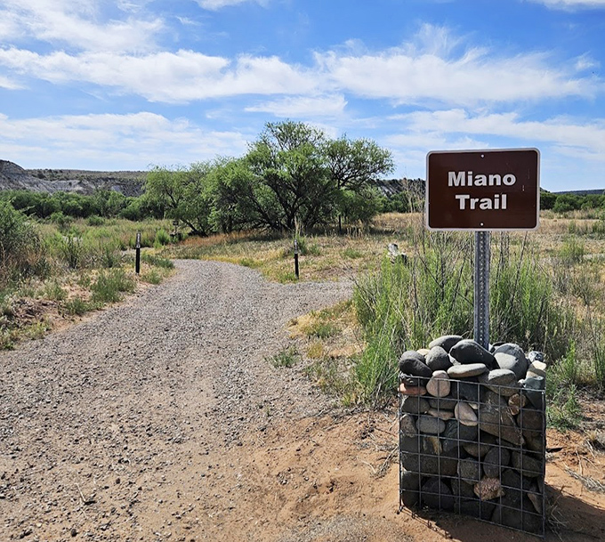 Miano Trail beckons with the promise of adventure, or at least enough steps to justify that second helping of dessert.