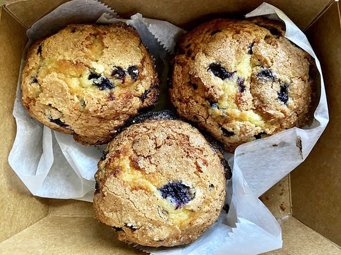 These muffins have the perfect dome-to-base ratio that would make architectural engineers weep with joy. Berry-studded masterpieces of morning science.