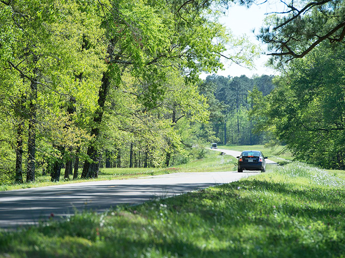The Natchez Trace Parkway unfurls like a green ribbon through history. This scenic byway offers soul-restoring vistas that cost nothing but time.