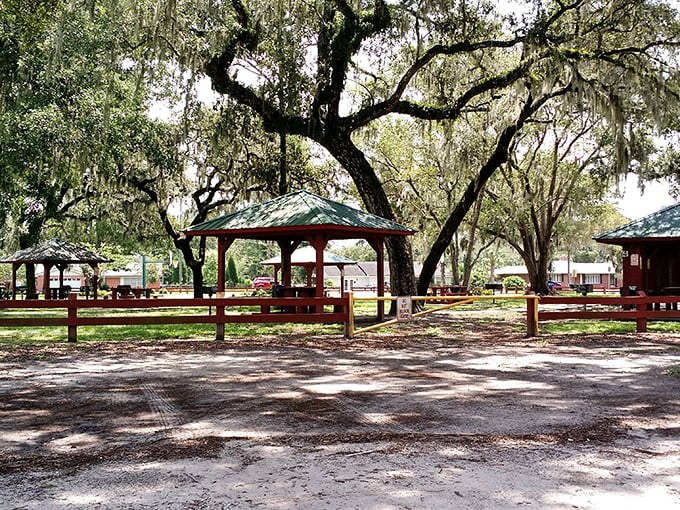 Nye Jordan Park's shaded pavilions offer a perfect respite from Florida sunshine, where Spanish moss creates nature's own air conditioning system.