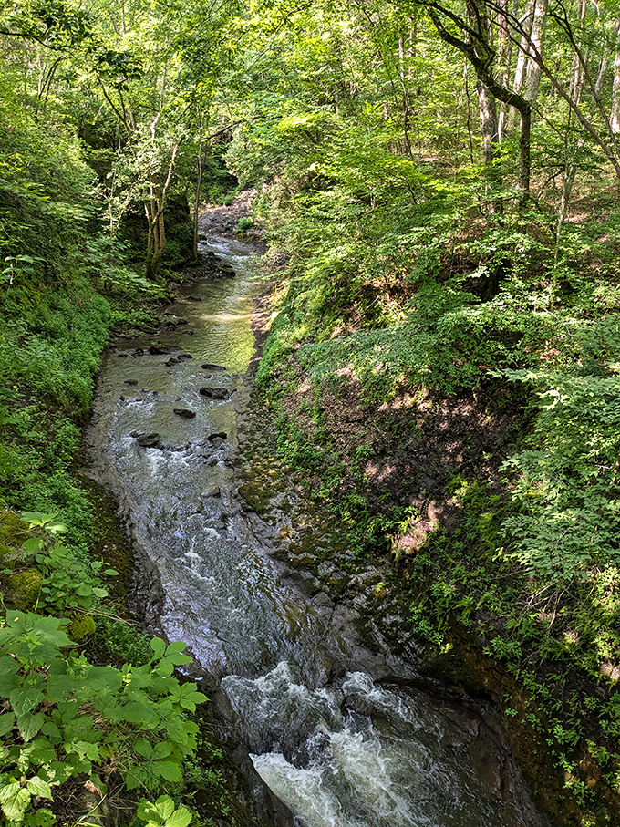 The trail system through Clifton Gorge provides both challenge and reward, with every turn revealing another postcard-worthy vista.