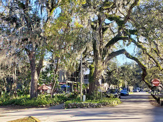 Quiet streets under mossy oaks capture Micanopy&rsquo;s easy charm&mdash;perfect for wandering with nowhere to be.