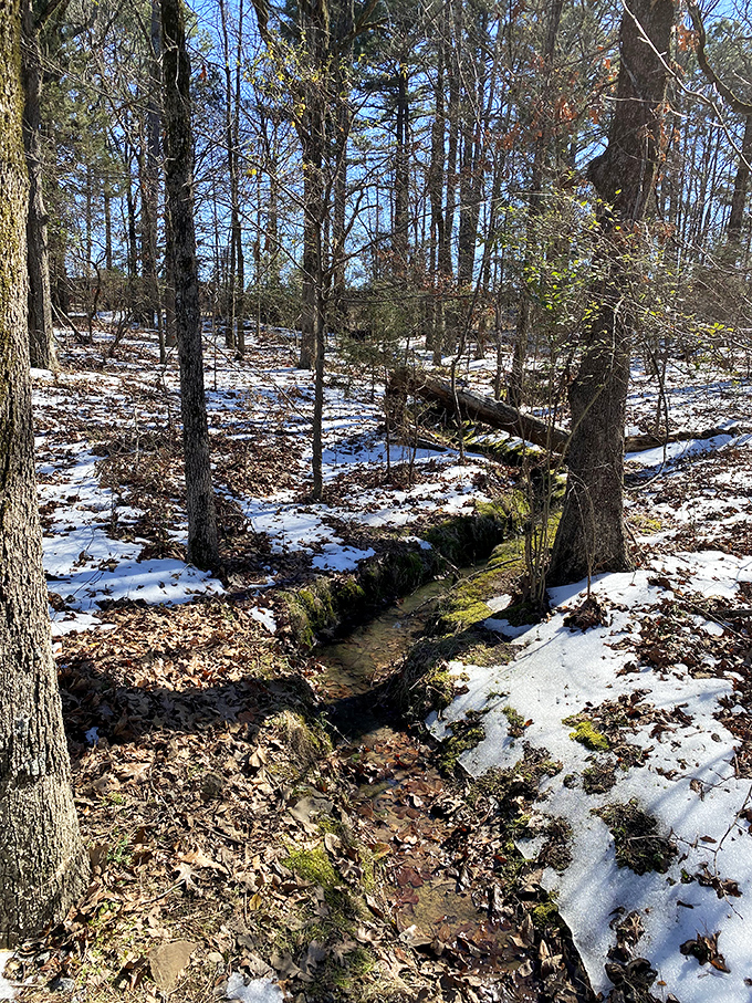 Winter transforms the landscape into a quiet wonderland. Even in colder months, Emerald Park's streams continue their ancient journey.