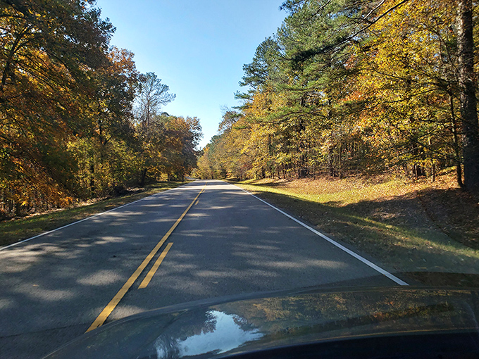 Autumn transforms the Parkway into nature's art gallery, where no admission is charged but memories are priceless.