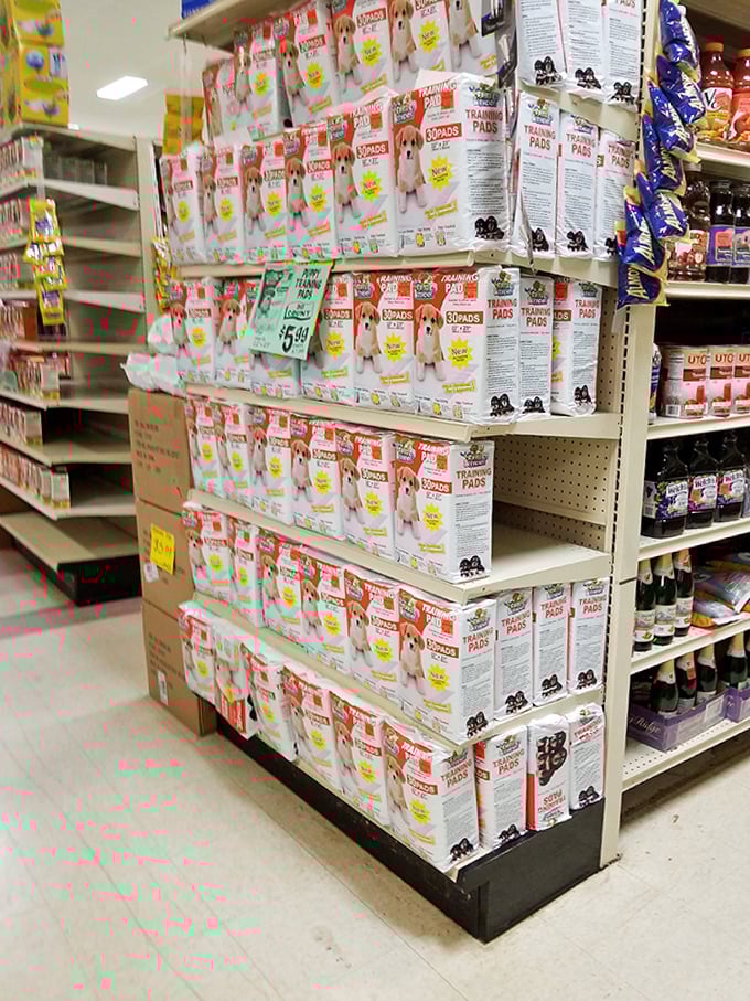 Puppy training made affordable! Even four-legged family members get the discount treatment with these stacks of essential pet supplies.