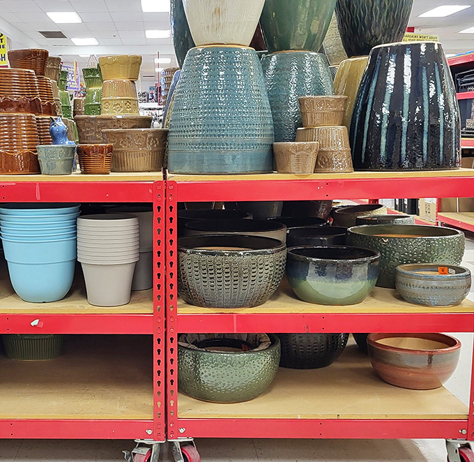 Pottery paradise where your houseplants can find their forever homes. Those blue glazed pots are practically begging to cradle a temperamental fiddle leaf fig.