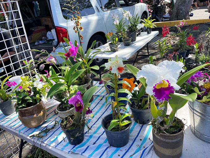 Orchids and tropical plants that somehow make your sad desktop succulent back home look like it's not even trying.