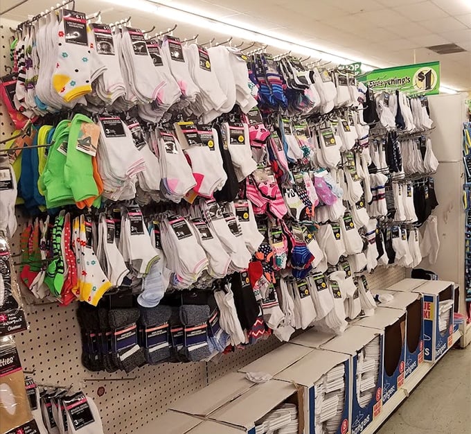 Sock selection that rivals department stores. The unsung heroes of your wardrobe, hanging like tiny textile soldiers ready for duty.