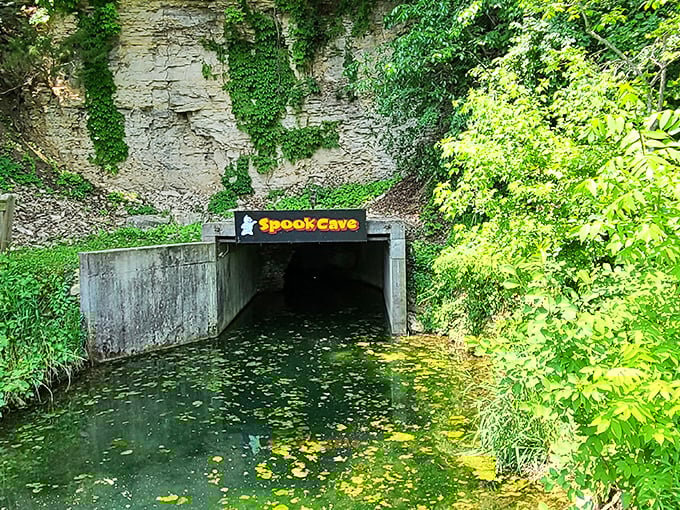 Spook Cave might sound like a Halloween attraction, but this water-filled limestone cave is a natural wonder worth exploring year-round.
