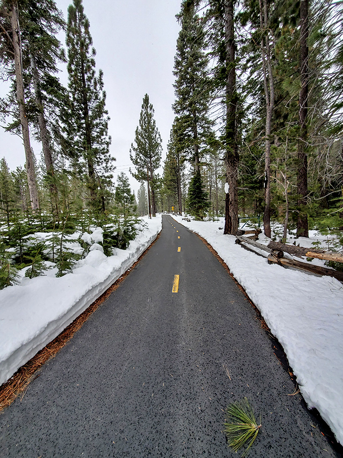 Winter's gentle touch transforms the forest path into a scene worthy of a holiday card. No filter needed, just pure Sierra magic.